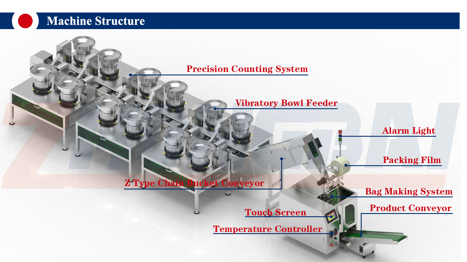 Automatic Counting and Packing Machine with X Feeders Chain Conveyor