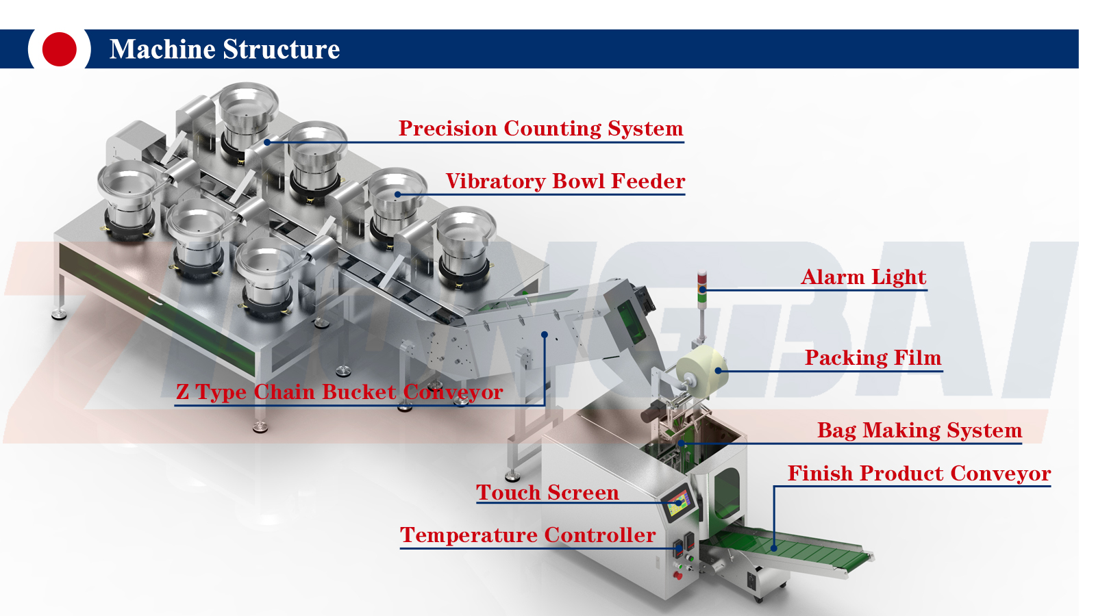 Automatic Counting and Packing Machine with Seven Feeders Chain Conveyor